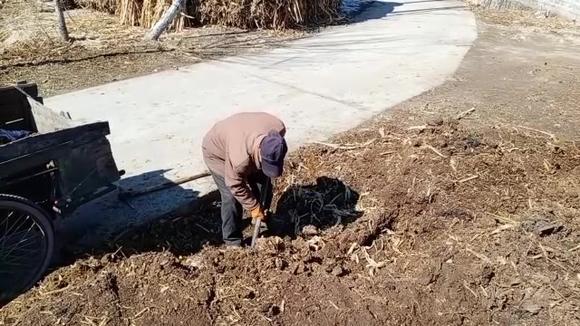 生活就是一块神奇的土地我们每个人都是辛勤的劳动者#春更进行时#
