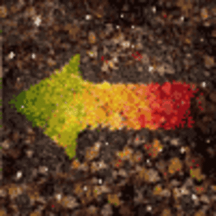 華先生网游工作室 