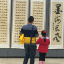 由来/ty由去 