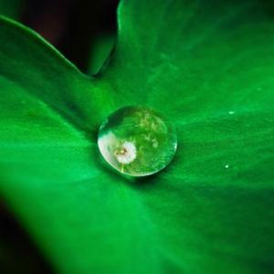 小木娄昨夜听风雨 
