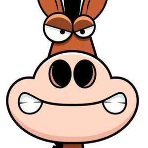 驴哥短视频运营 