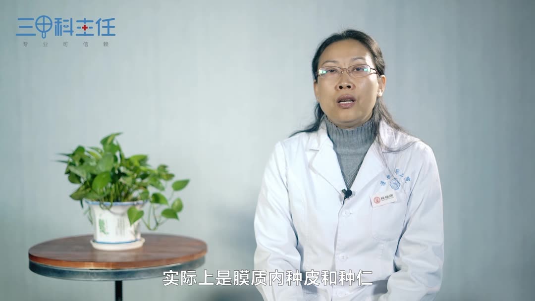 银杏果是什么 银杏果的功效与作用有哪些
