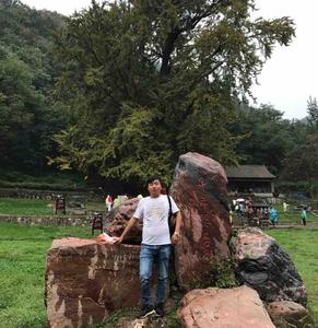 懿哥的所见所闻 