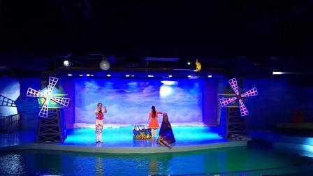 VID_20190207_海象表演2