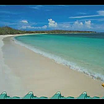 我在小学五年级音乐课视频下册《大海啊,故乡》截了一段小视频