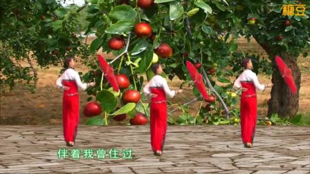 《红枣树》伞舞