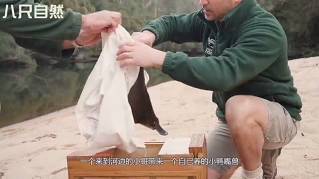 猴子警长探案记中的鸭嘴兽长什么样