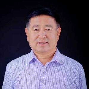 山东王老师讲数学 