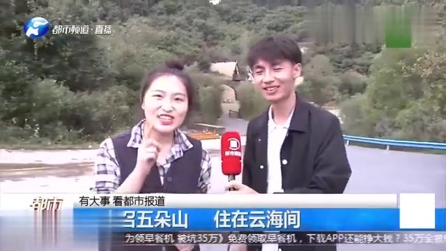 南召旅游景点大全