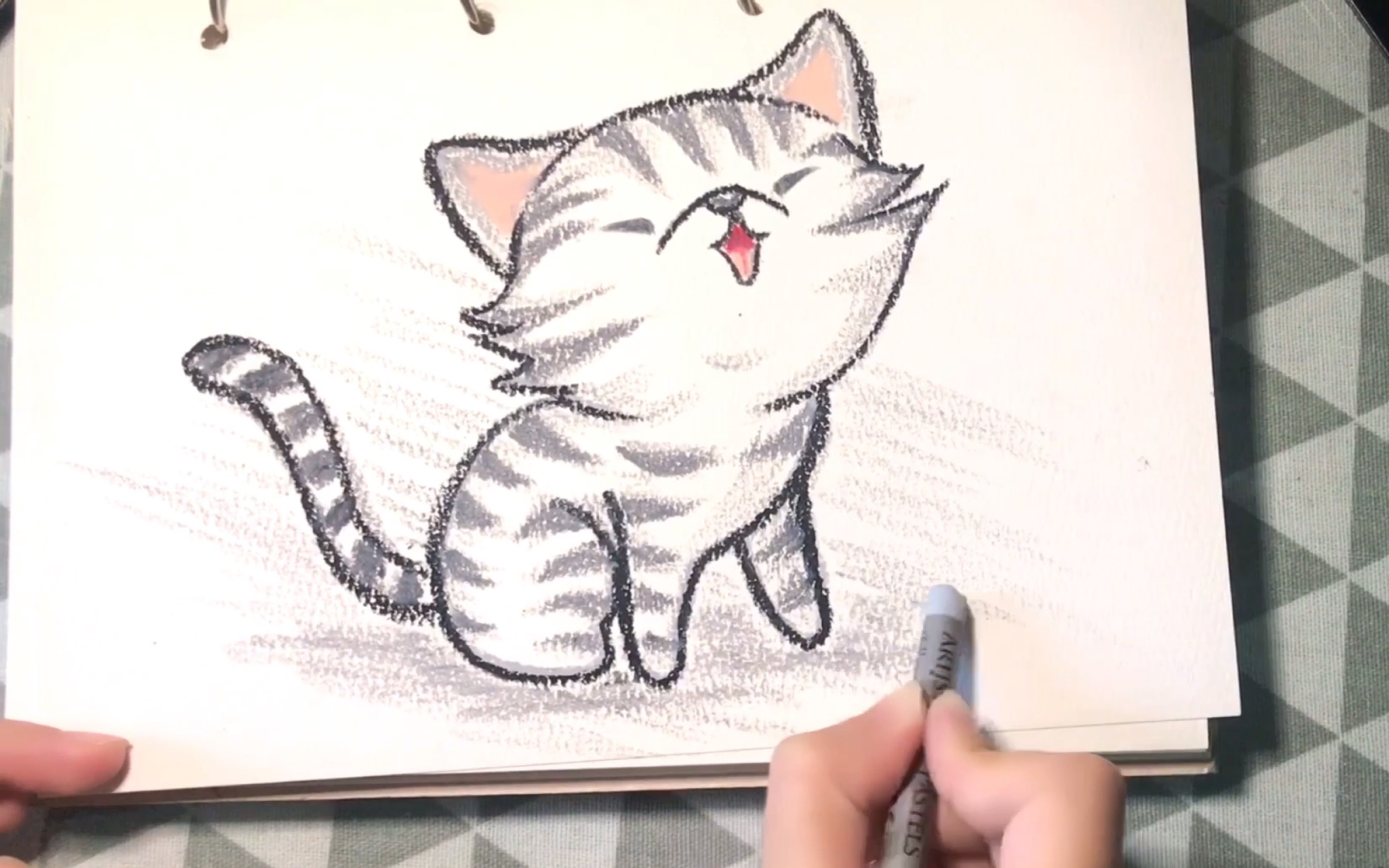 简单的油画棒猫咪-绘画过程分享