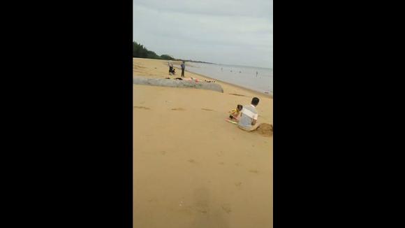 海南的海景如画