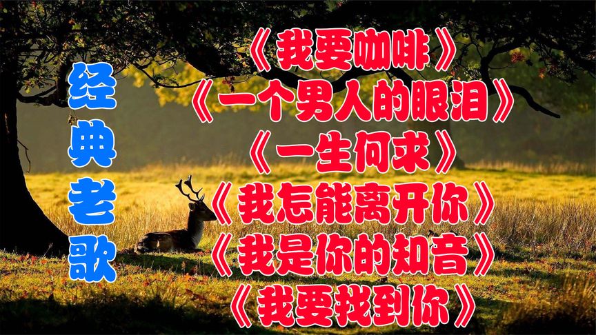 《我要咖啡》《一个男人的眼泪》《我怎能离开你》《我要找到你》