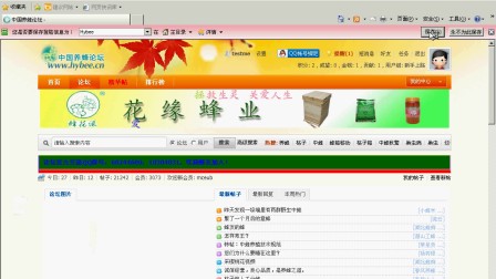 自动填表软件操作