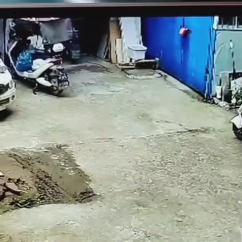 安徽蚌埠一中学生将一只流浪狗救出,背后原因令人三级烧伤