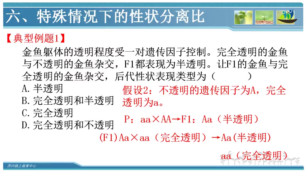 高一_生物_基因分离定律解题指导(3) 要相关练习可以私聊我 第三阶段...