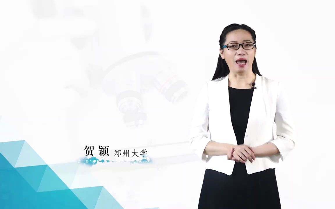 11.1 线粒体的形态结构