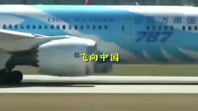 飞机上没有旅客,全是华人购买的医疗物质,中国加油!