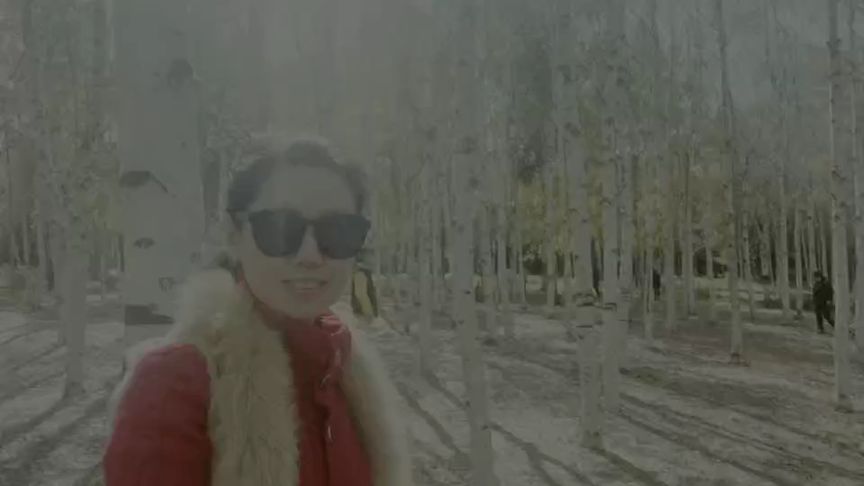 小喵带你识植物∥白桦(paper birch)上帝赐给苦难人的神奇礼物