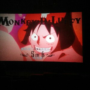 养猫咪的粥粥Zzz 