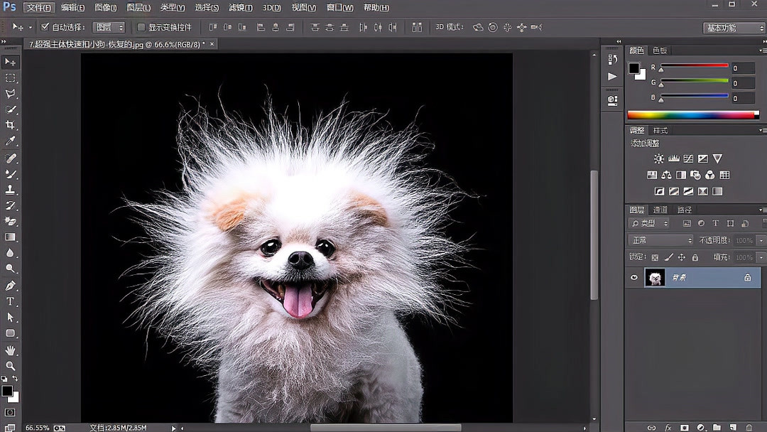 PS一键抠毛发,抠发丝