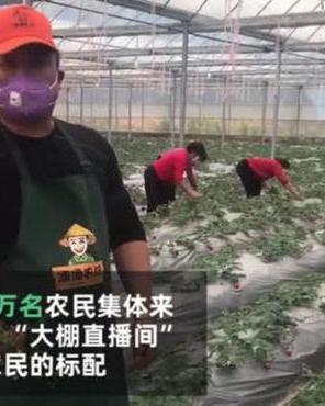 【100万人涌入淘宝开店,淘宝直播成2020年最大增长机会】淘宝2月“...