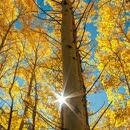 苏苏苏苏苏苏说 