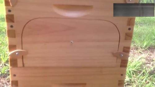 牛人发明,实拍牛人发明蜂蜜自动提取机器,再也不怕被蜜蜂蛰了