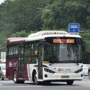 潯峰崗の失蹤人口 