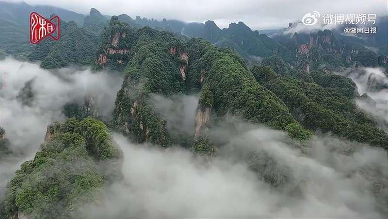 湖南省首届旅发大会 【 国际张的七十二变 爱上张家界】在张家界等...