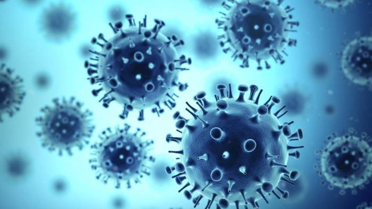 中国疾控中心:短期内XBB系列变异株引发大规模流行的可能性低