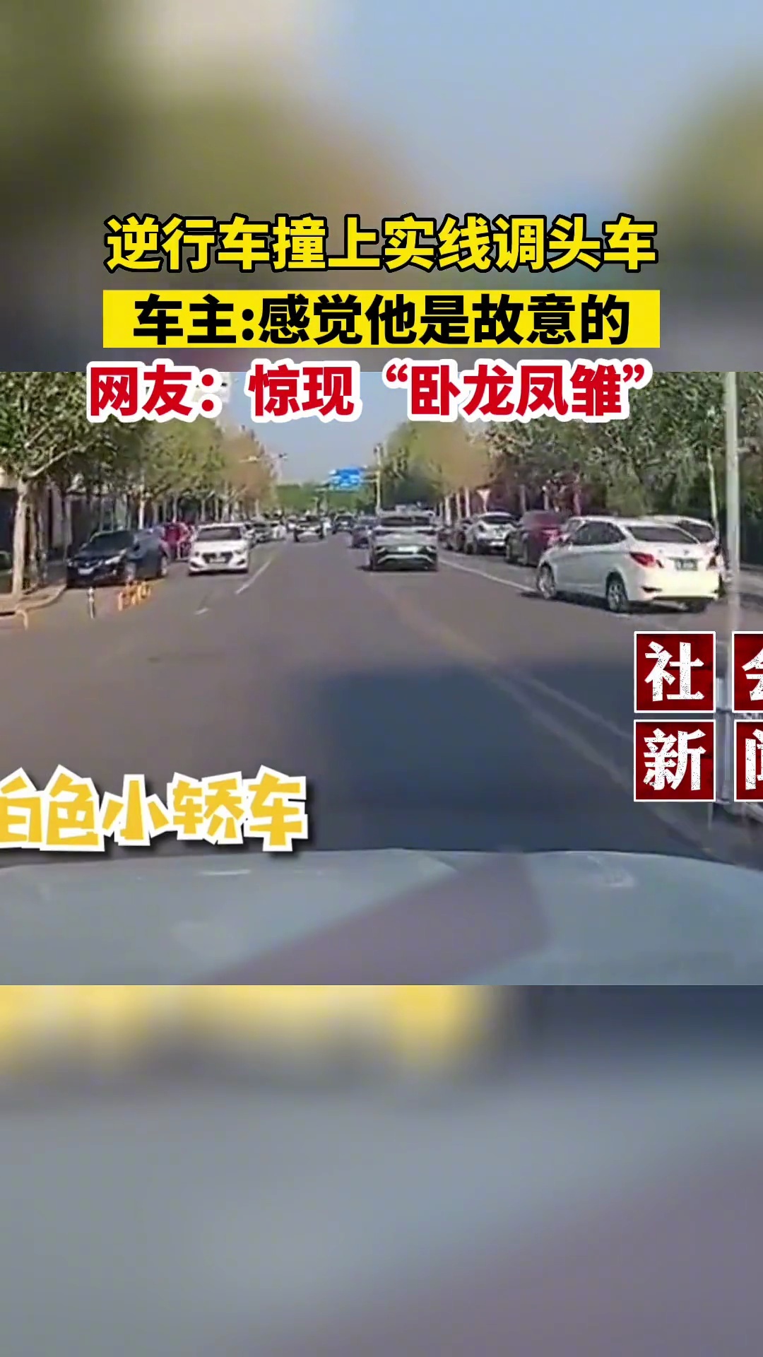 ...故意的#热点新闻事件 #社会新闻 #社会百态 #安全驾驶 #遵守交通规则