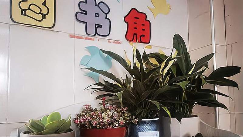 守护绿色 美丽家园—通许县东水沃小学开展爱绿护绿主题教育活动