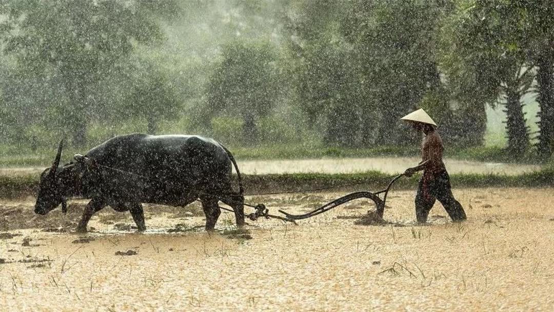 原始人类为何会突然学会了耕种?