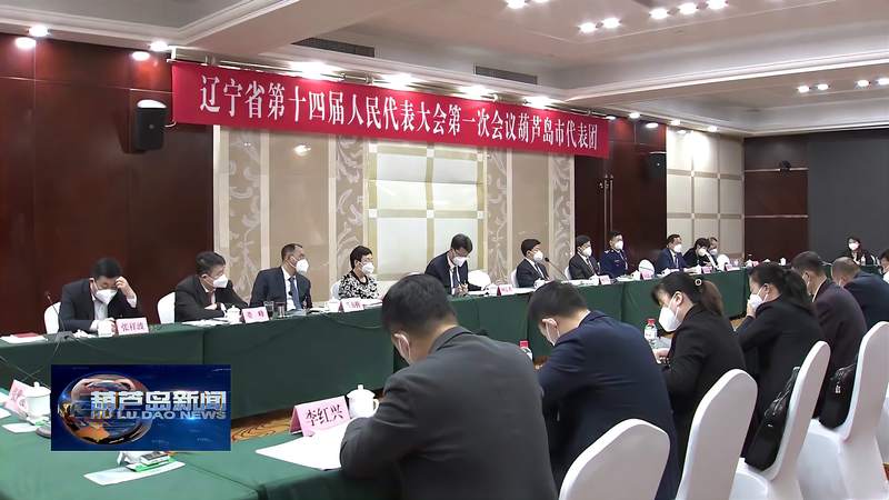 葫芦岛代表团举行全体会议 继续审议省政府工作报告 审查计划报告和...