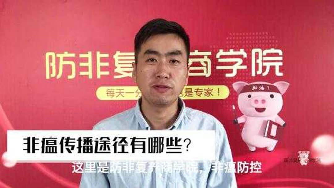 非洲猪瘟的传播途径都有哪些?养猪人需要了解,系统的划分为4个