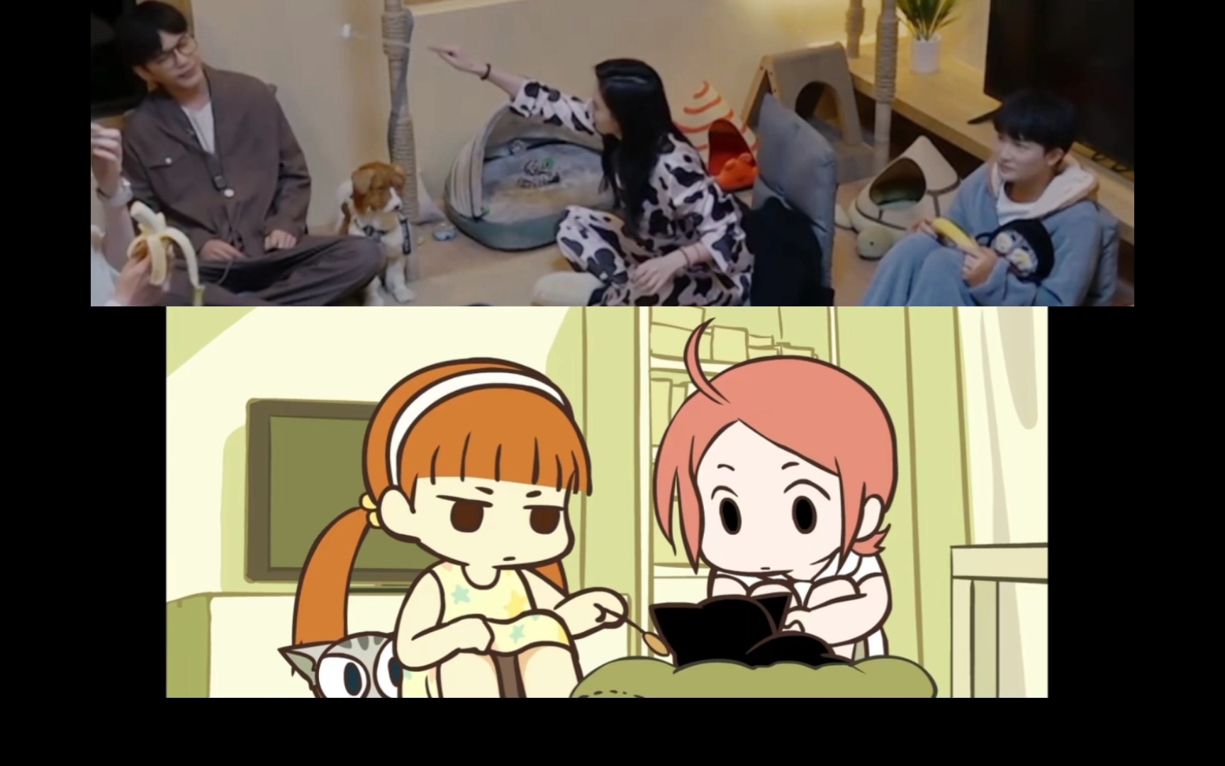 以罗小黑的视角看《开始推理吧》