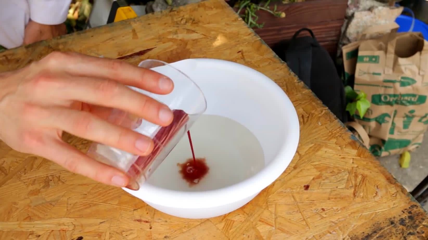 过氧化氢的漂白性有多强?老外将牛血滴进去后,神奇的一幕发生了