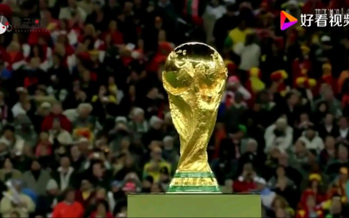 2010南非世界杯主题曲《Waka Waka》