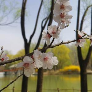 热心无人机教育 