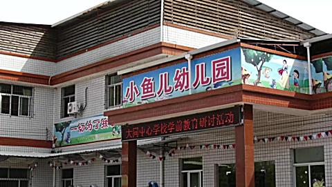 『九牛影视』长汀县大同中心校学前教育教研活动在小鱼儿幼儿园成功...