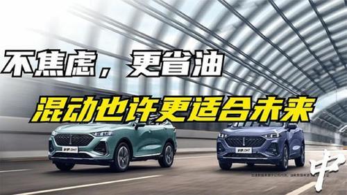 更实用更简洁,混动不比纯电香吗?