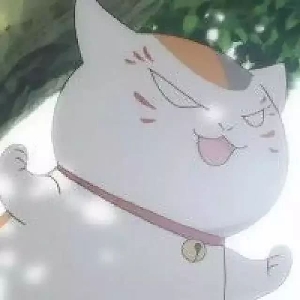拾九趁年华 