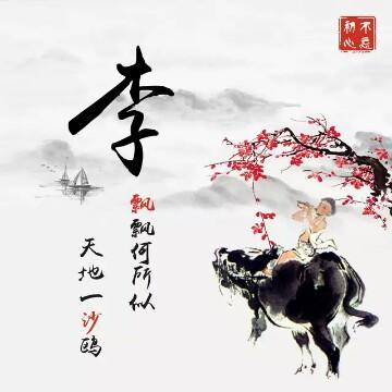像风儿一样的岁月 