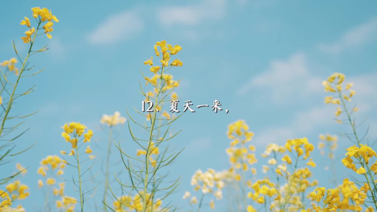 阅卷老师喜欢的描写夏天的超美语句#写作 #素材