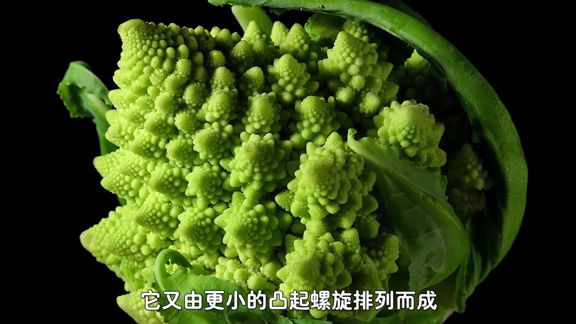 “科赫雪花”是什么?为什么它的面积有限,周长却无限大?