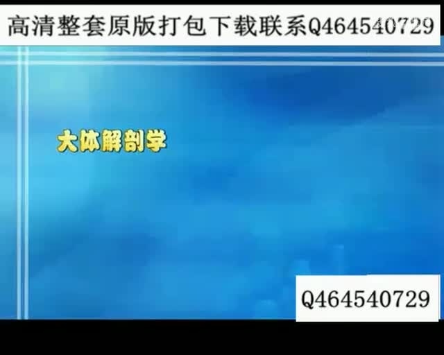 组织学和胚胎学 李和 华中科技大学 视频教程 精品课程