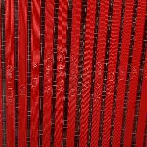 骑手鹰酱来编程 