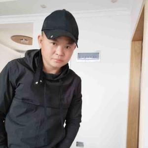 晨林车视界 