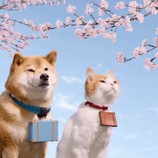 玩手工的灰酱shiki 