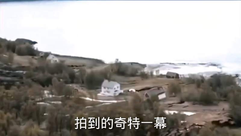 拍到的奇特罕见一幕